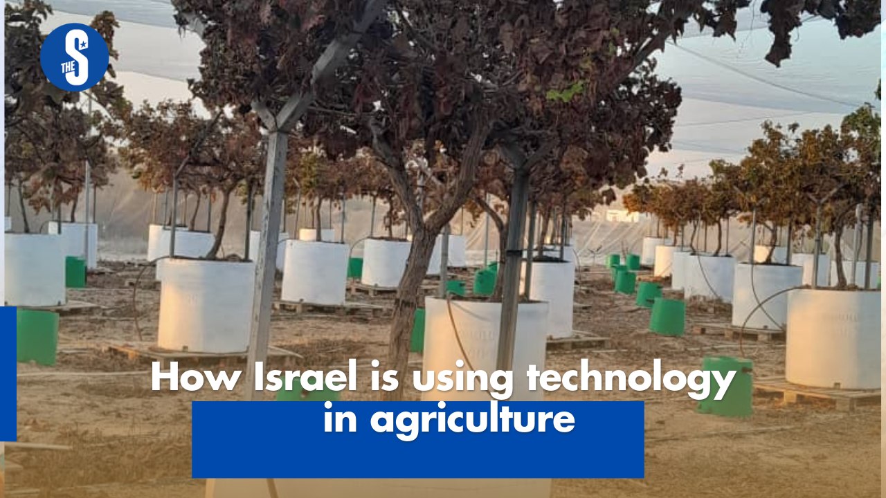 How Israel is using technology in agriculture - video Dailymotion