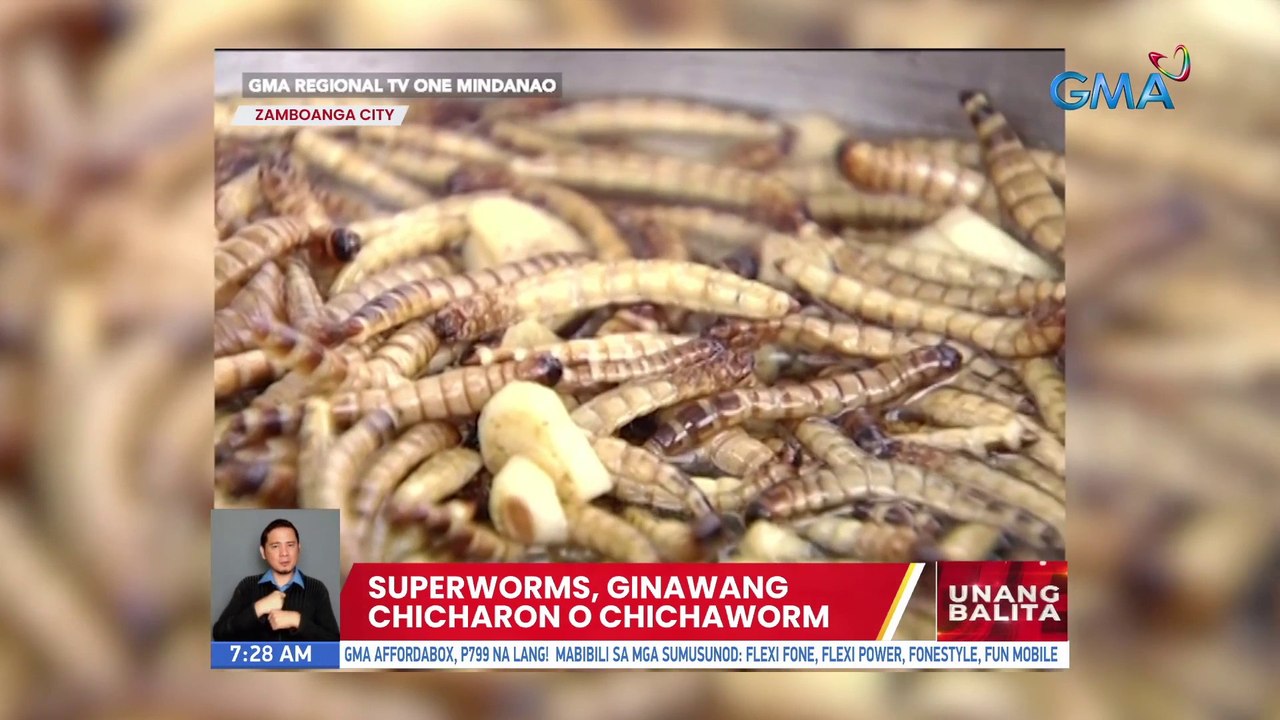 Superworms, ginawang chicharon o chichaworm | UB - video Dailymotion