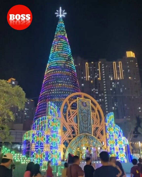 The tallest Christmas tree in the world. - Video Dailymotion