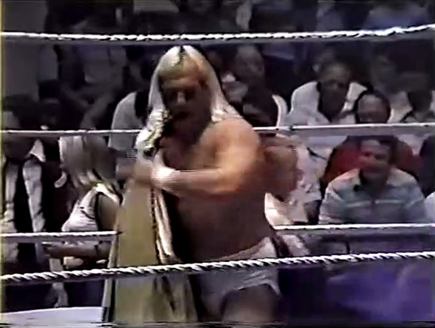 Hulk Hogan Vs Andre The Giant Steel Cage