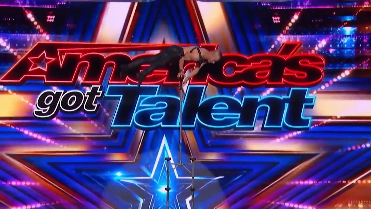 america's got talent - top 10 most talented animals on america's got ...