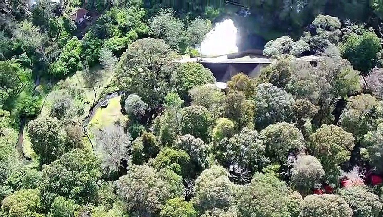 Jelajah Tempat !! - Menjelajah Di Hejo Forest Ciwidey Bandung - video ...