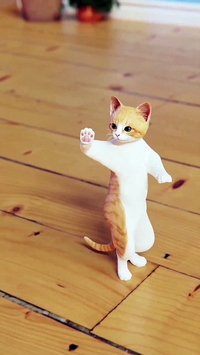Funny cat dance - video Dailymotion