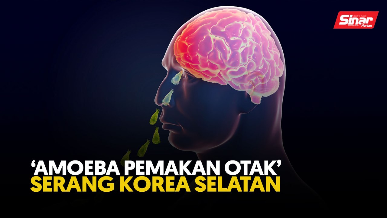 ‘Amoeba pemakan otak’ serang Korea Selatan - Video Dailymotion