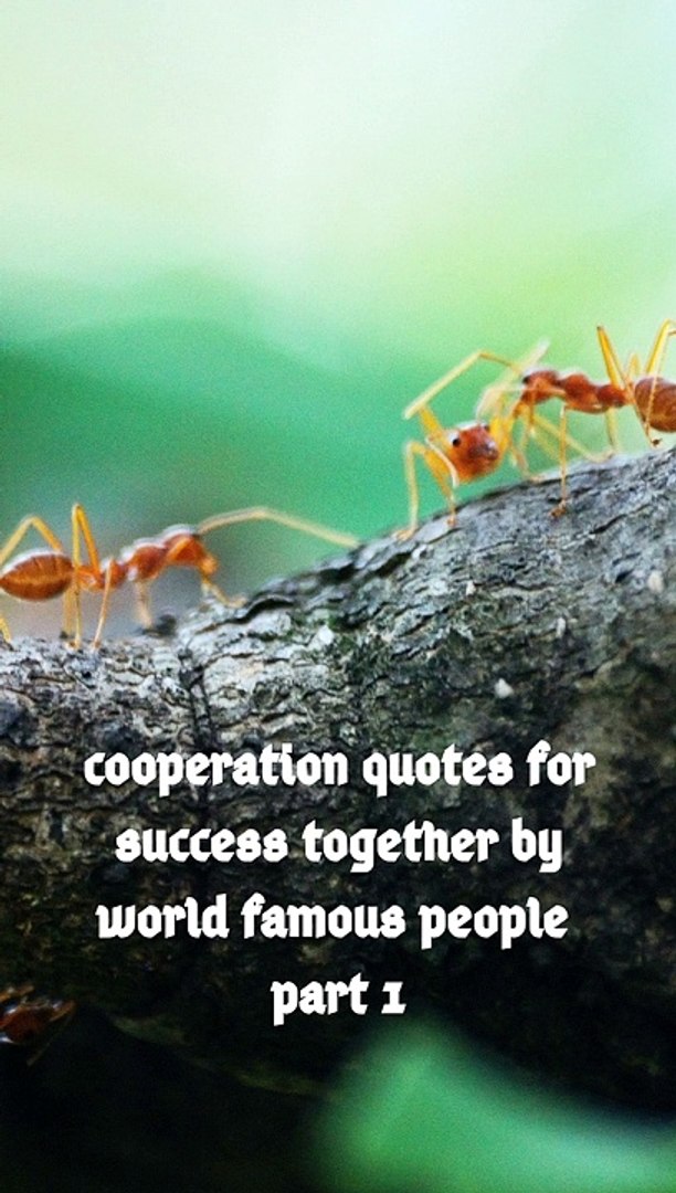 Success Through Cooperation Quotes Motivational Poster About Teamwork