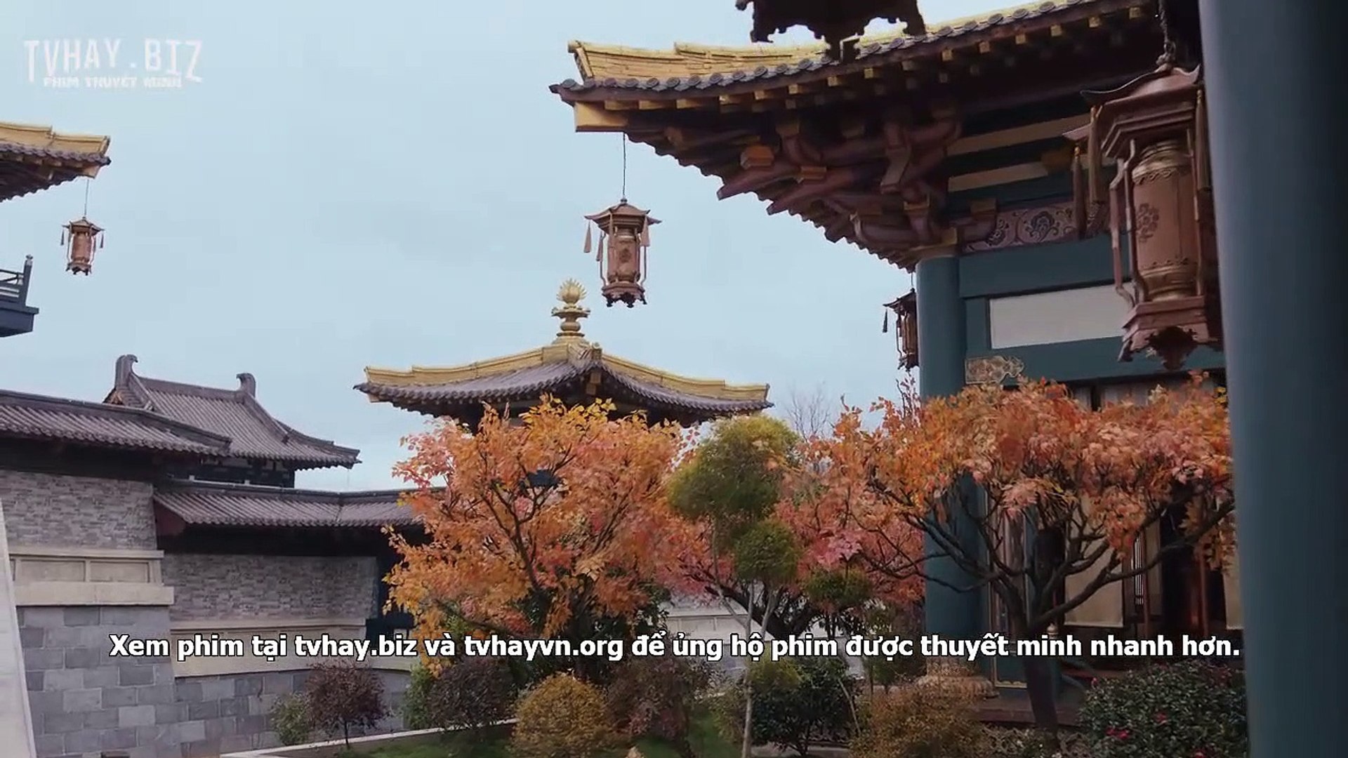 TVHAY Phim Hàn Quốc: Khám Phá Thế Giới Phim Đặc Sắc và Hấp Dẫn