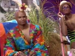 In Living Color (Season 1-5) by Cortney Tyson - Dailymotion
