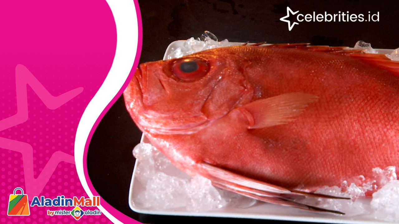 Nikmatnya Olahan Kuliner Ikan Mata Lebar, Penuh Usaha untuk ...