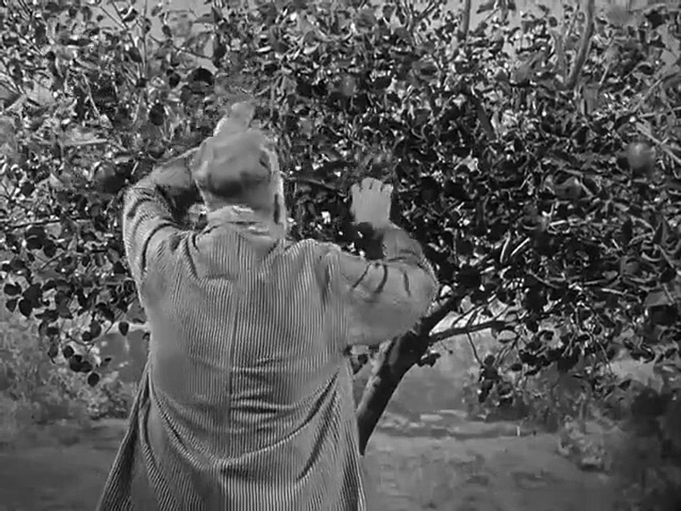 Petticoat Junction - Se2 - Ep10 HD Watch - video Dailymotion