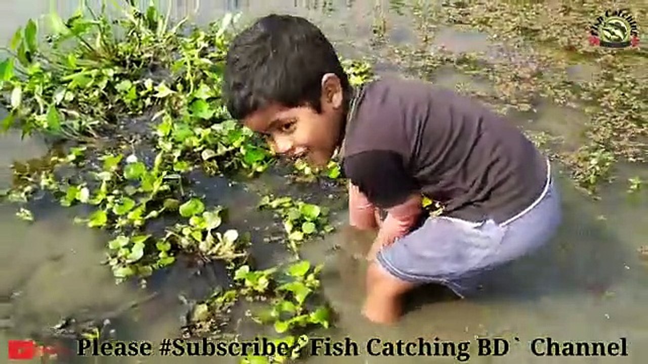 Amazing_Hand_Fishing__Traditional_Boy_Big_Fishing_by_Hand_in_the_pond ...