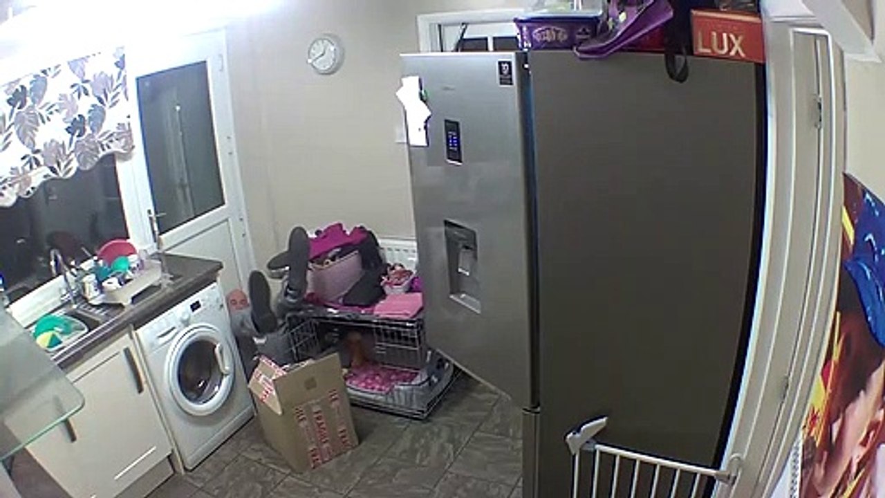 Man Trips Over Box Opening Fridge - video Dailymotion