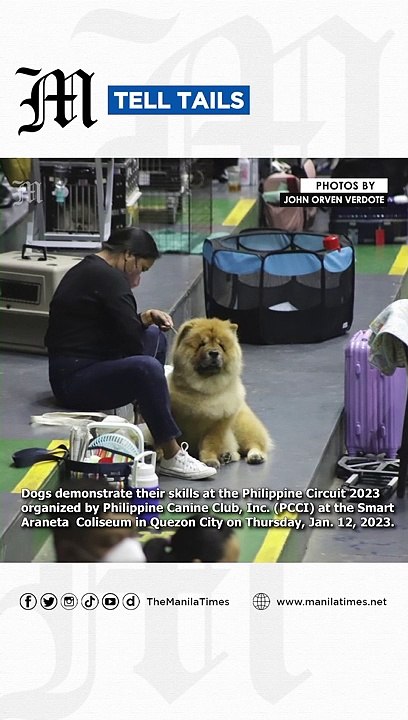 Tell tails - video Dailymotion