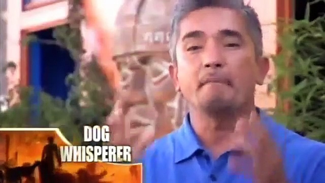 Dog Whisperer with Cesar Millan - Se2 - Ep05 HD Watch - video Dailymotion