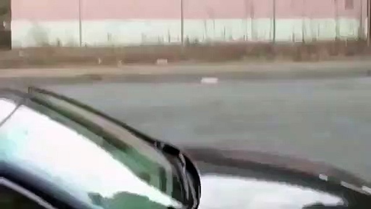 Happy Tree Friends - Smoochies - Ep01 - Cuddles' Pet Smoochie HD Watch ...