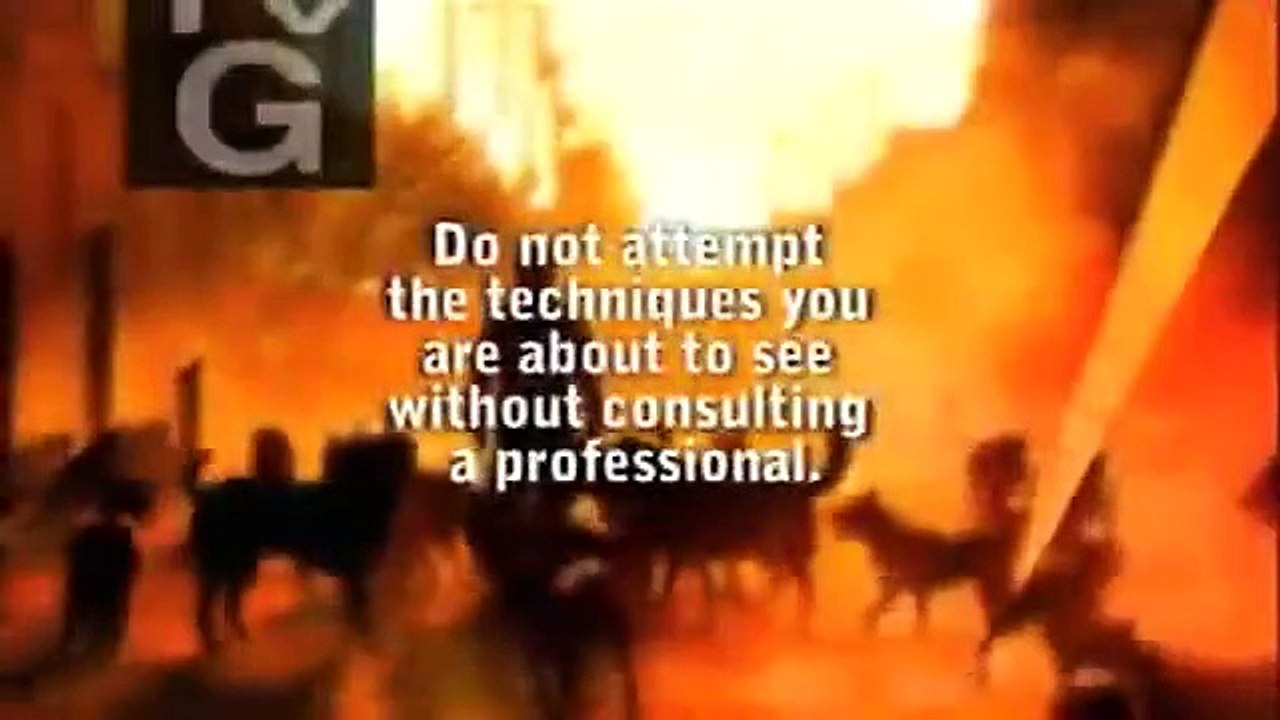 Dog Whisperer with Cesar Millan - Se3 - Ep05 HD Watch - video Dailymotion