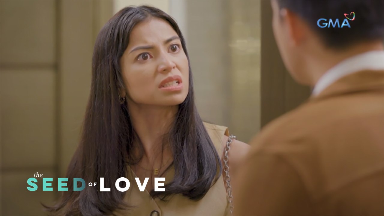 The Seed of Love: Pakikipaghiwalay ni Eileen kay Bobby (Episode 23 ...