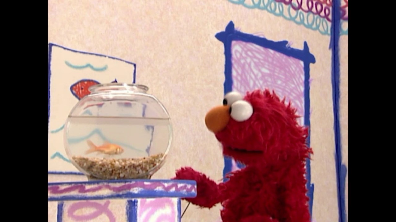 Sesame Street: Elmo's World Pets. - video Dailymotion