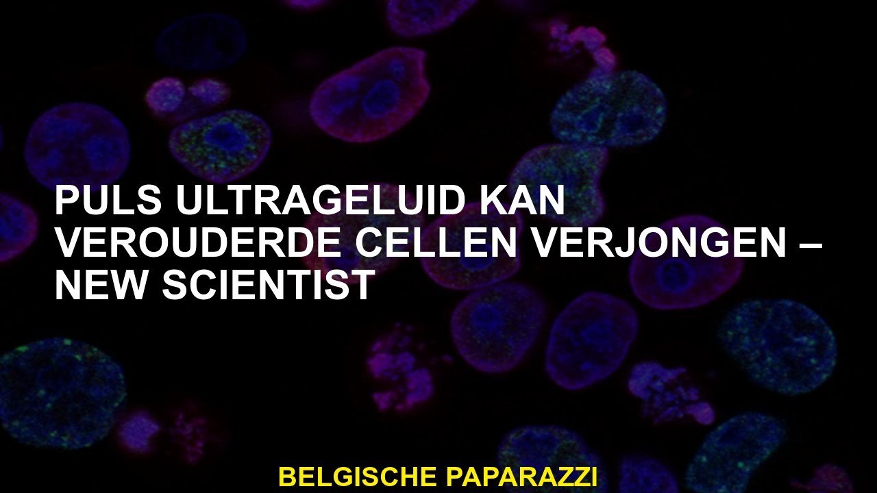 Puls echografie kan verouderde cellen verjongen - nieuwe wetenschapper ...