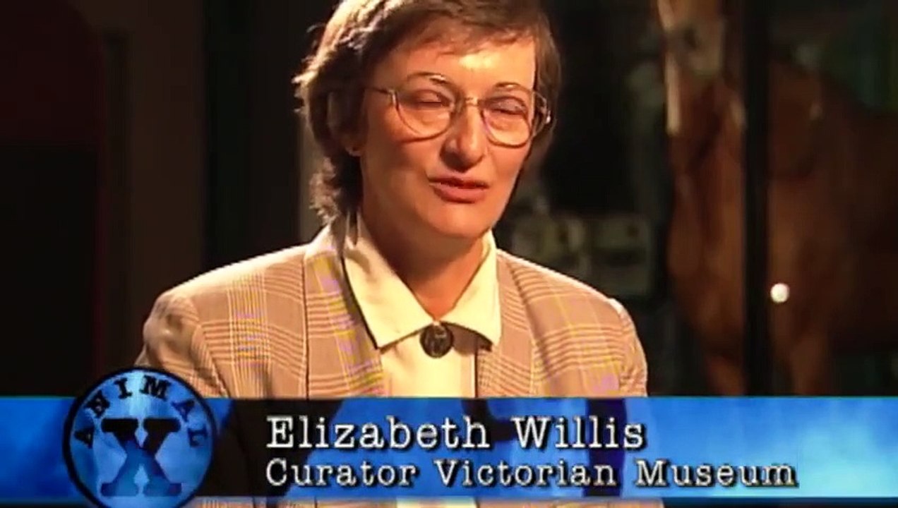 Animal X - Se1 - Ep09 HD Watch - video Dailymotion