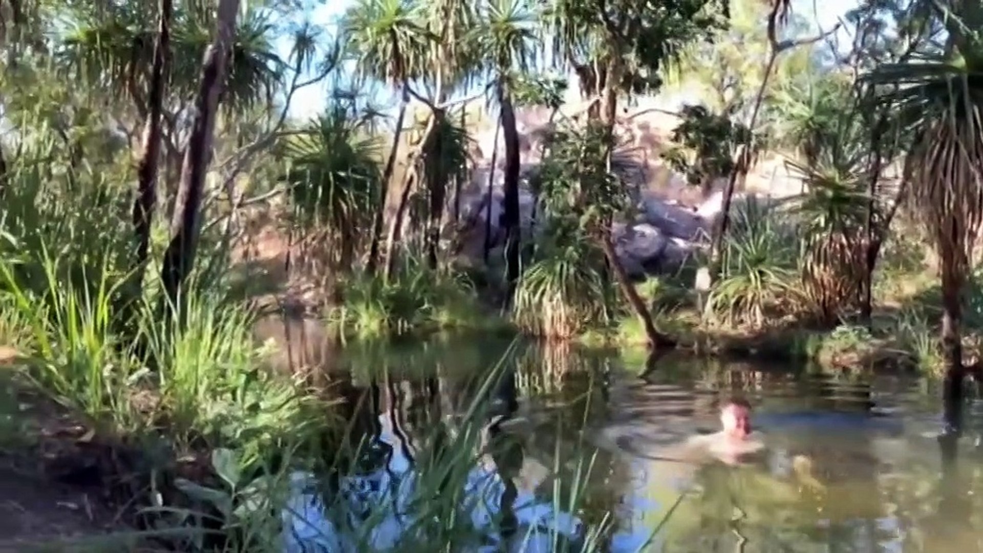 Popular remote park closes gates to self-drive tourists