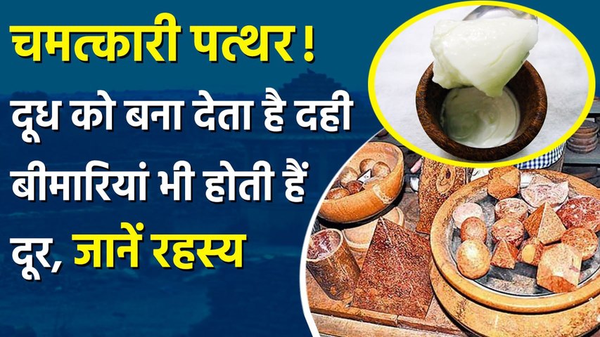 Dahi History: जब 'चमड़े की थैली' में रखा दूध दही बन गया, Curd Tamil ...