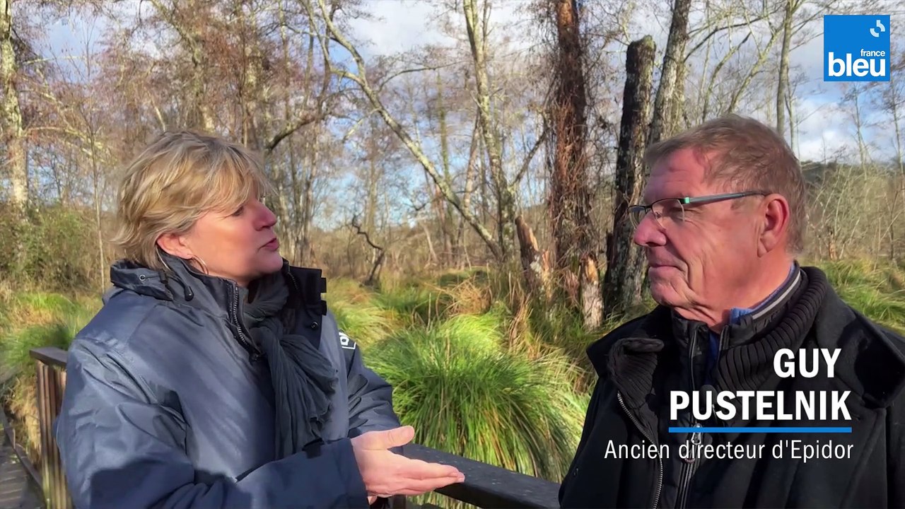 Guy Pustelnik - Ancien directeur d'Epidor - Vidéo Dailymotion