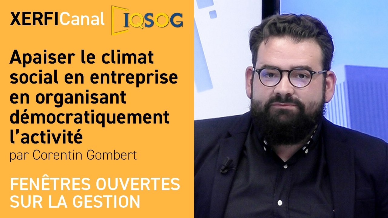Apaiser le climat social en entreprise en organisant démocratiquement l ...