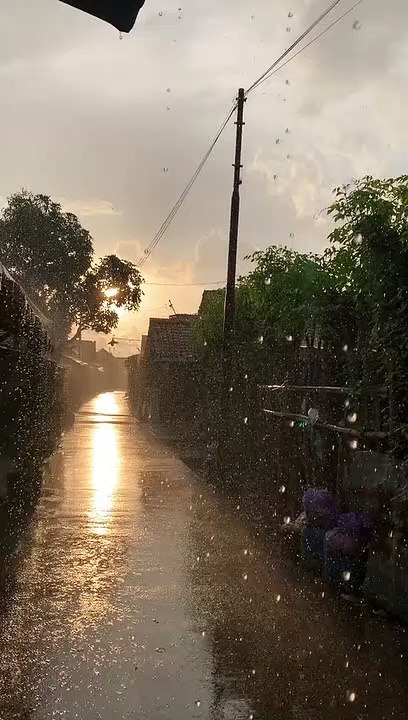 Senja dan hujan - Video Dailymotion