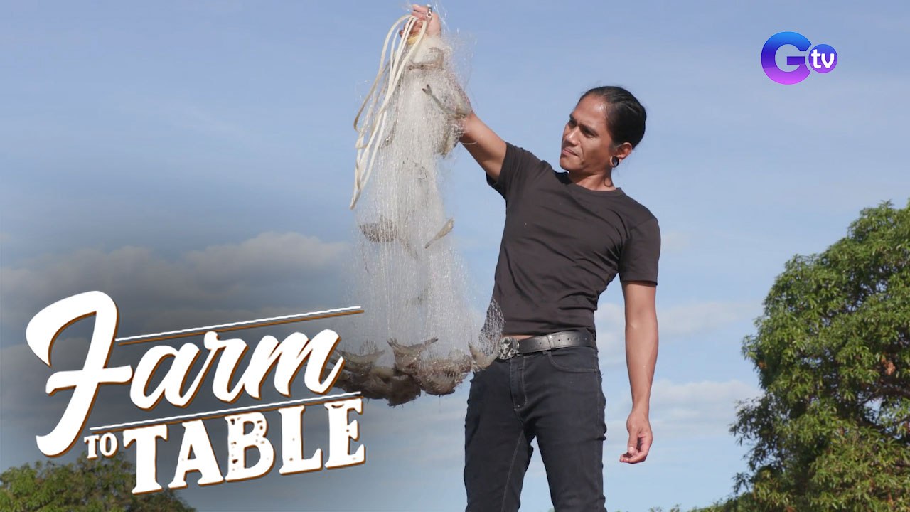 The secret behind why shrimp is expensive! | Farm To Table - video ...