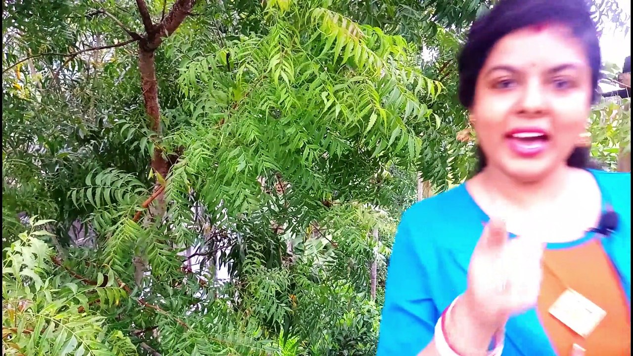 Css Gradient Input Field Animation @TonuDipa Coding - video Dailymotion