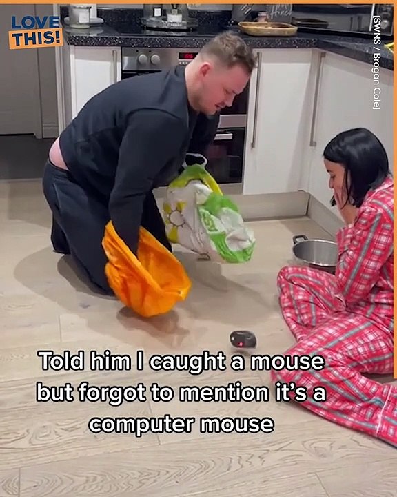 Hilarious fake mouse prank - video Dailymotion