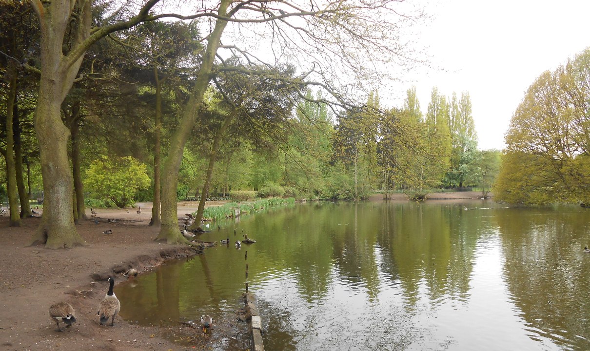 A guide to Liverpool’s most affluent area, Calderstones - houses, cafes ...