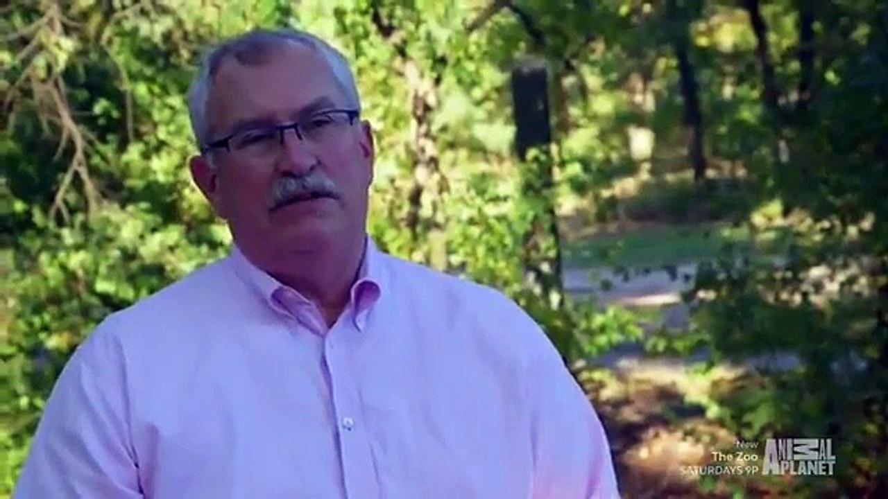 The Zoo (2017) - Se2 - Ep04 An Elephants Trust HD Watch - video Dailymotion