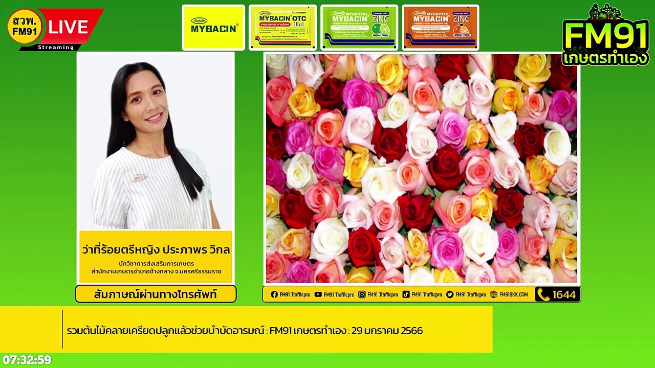 รวมต้นไม้คลายเครียดปลูกแล้วช่วยบำบัดอารมณ์ : FM91 เกษตรทำเอง : 29 มกราคม 2566 - video Dailymotion