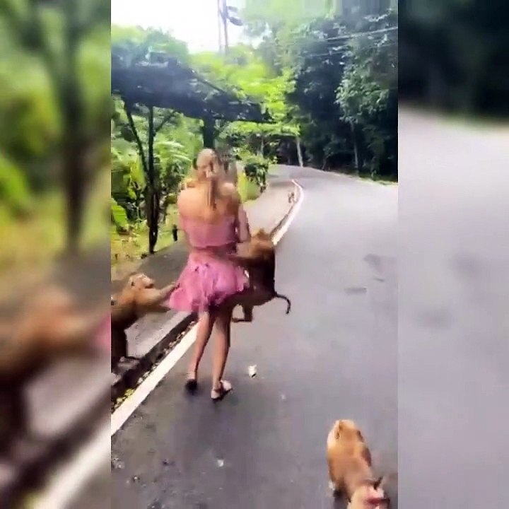 Viral Shorts Compilation - video Dailymotion