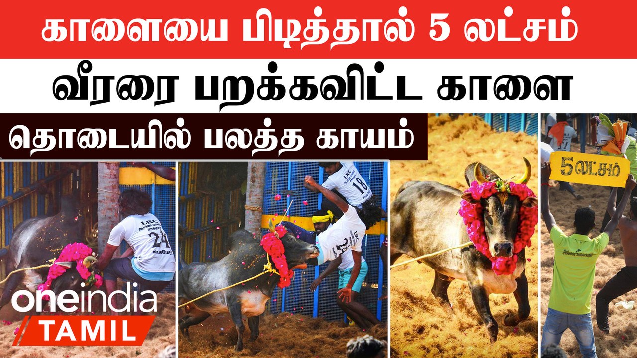 கூலமேடு ஜல்லிக்கட்டில் காளையின் மீது 5 லட்சம் ரொக்கம் பரிசு | Oneindia ...