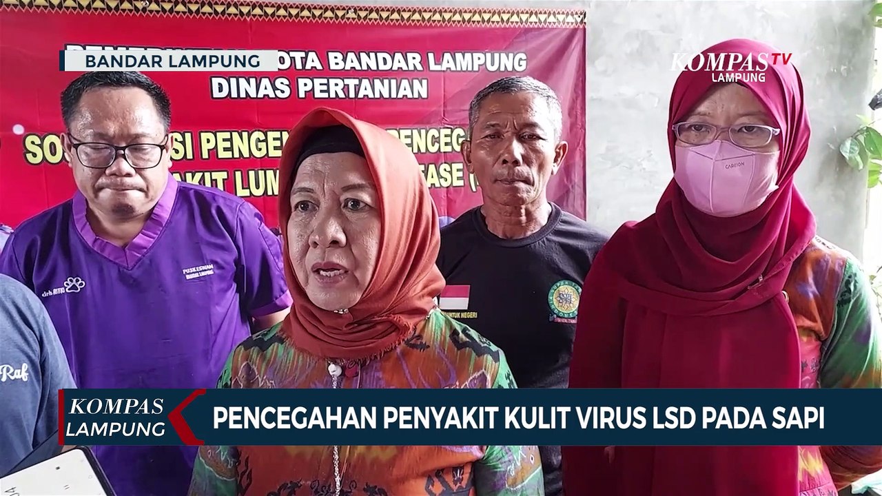 Pencegahan Penyakit Kulit Virus LSD pada Sapi - Video Dailymotion