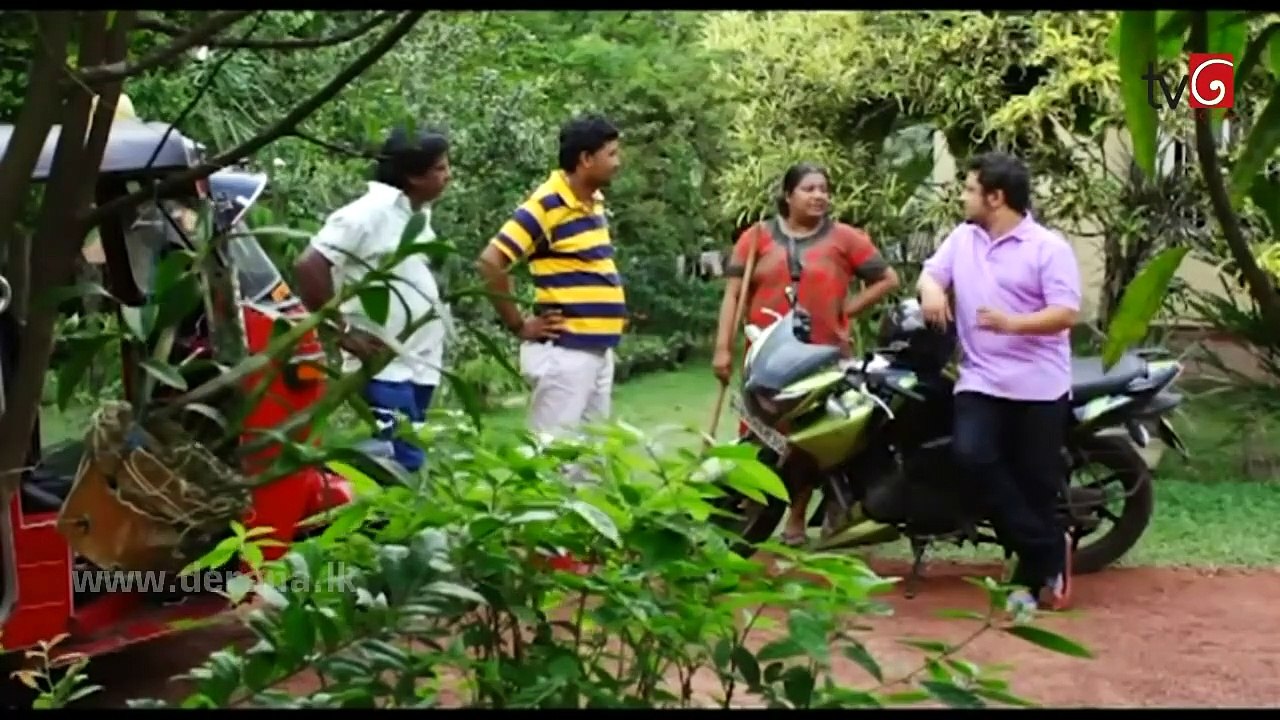 Neela Paligu Diya Ep 89 - video Dailymotion