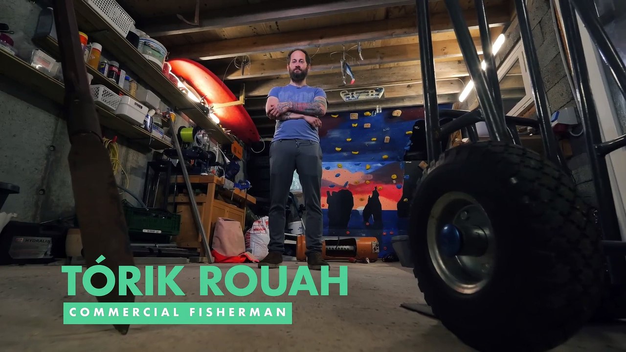 Dolphin Steak and Puffin!! Extreme Meats in Faroe Islands!! - video ...