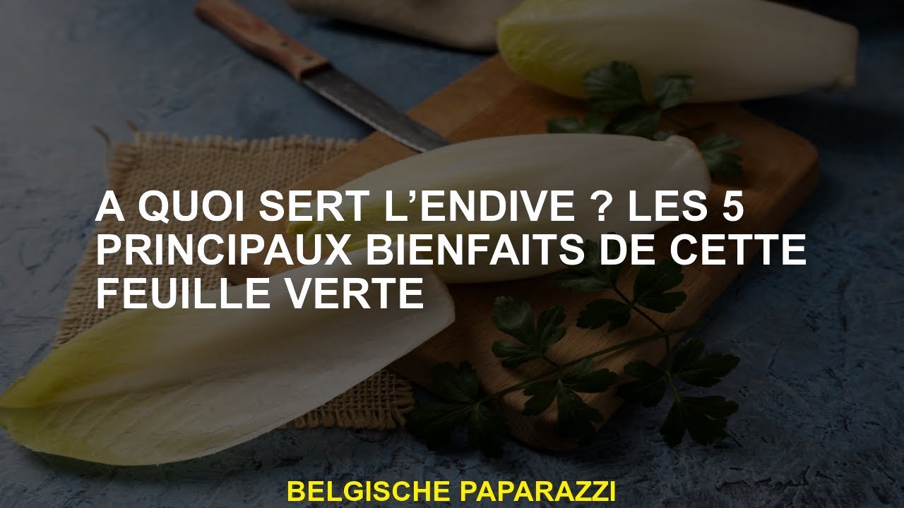 À quoi sert l'endive? Les 5 principaux avantages de cette feuille verte ...