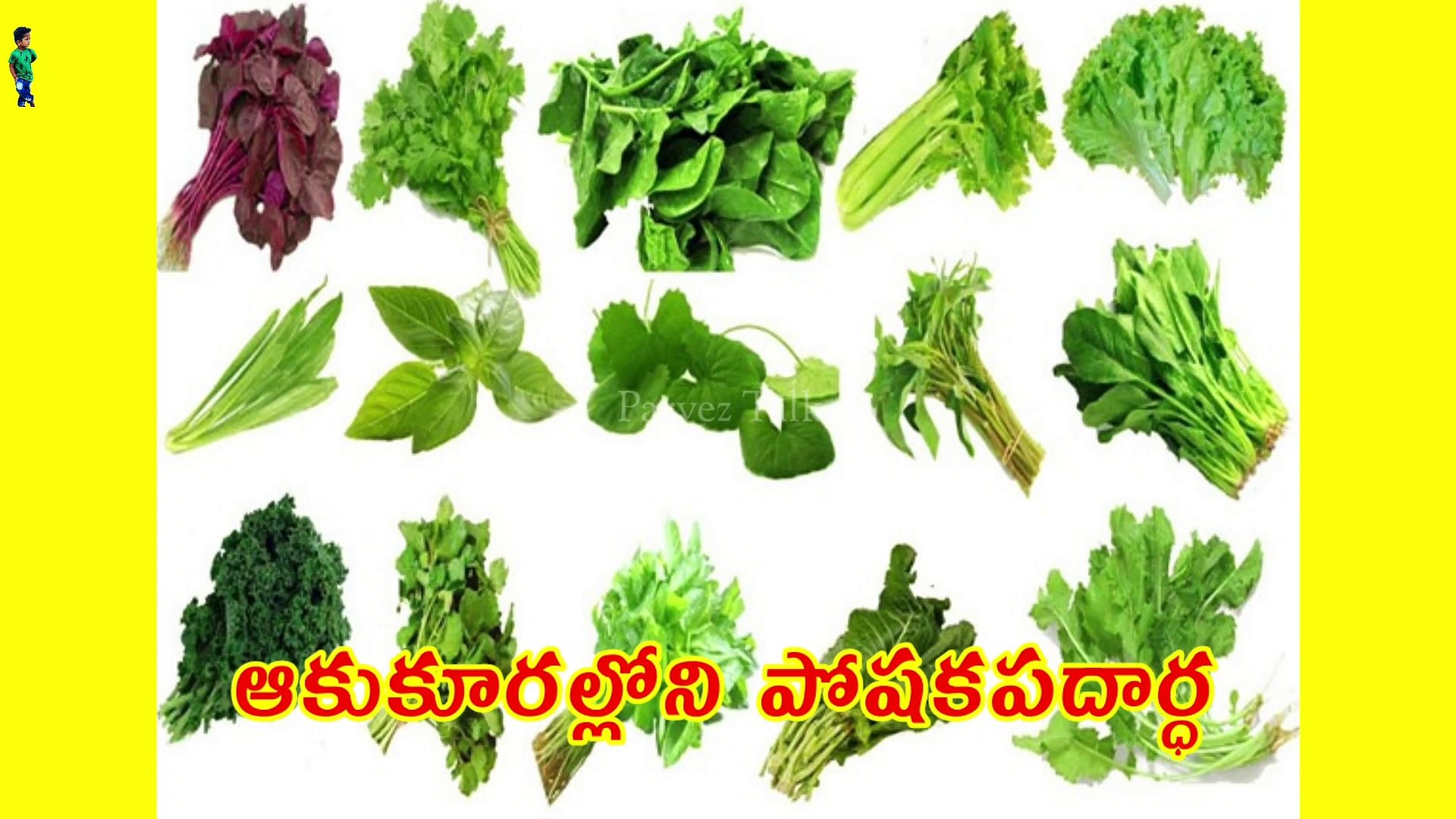 10 Green Leafy Vegetables Names In Telugu