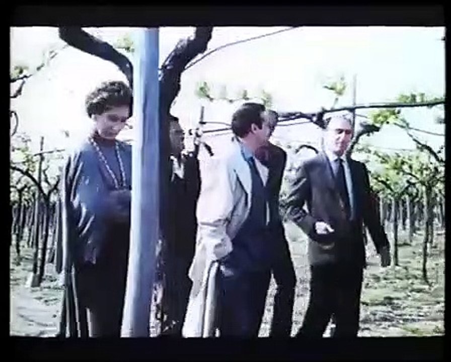 The Raffle | movie | 1991 | Official Trailer - video Dailymotion