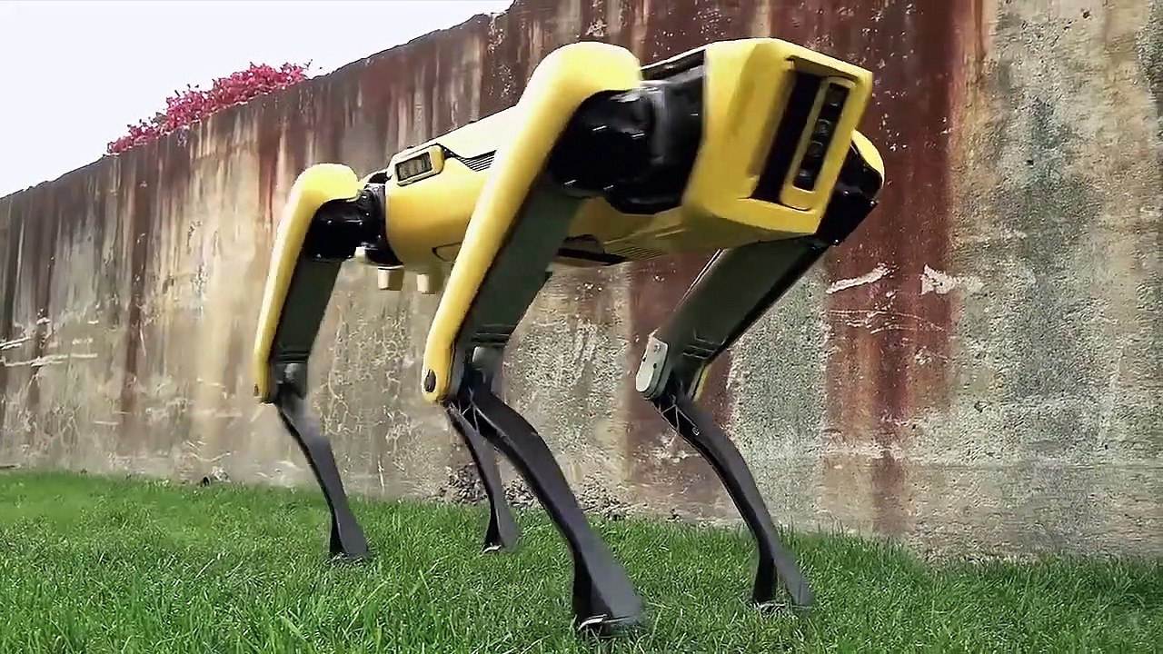 Origin of the Species | movie | 2020 | Official Trailer - video Dailymotion