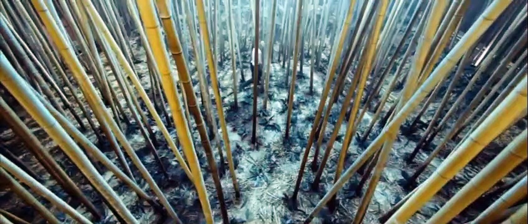 The Inhabited Island 2: Rebellion | movie | 2009 | Official Trailer ...