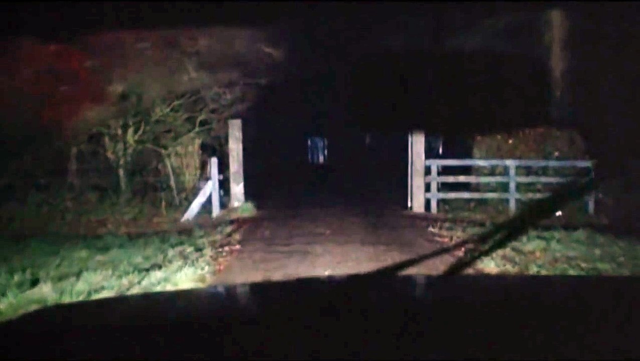 Cal | movie | 1984 | Official Trailer - video Dailymotion