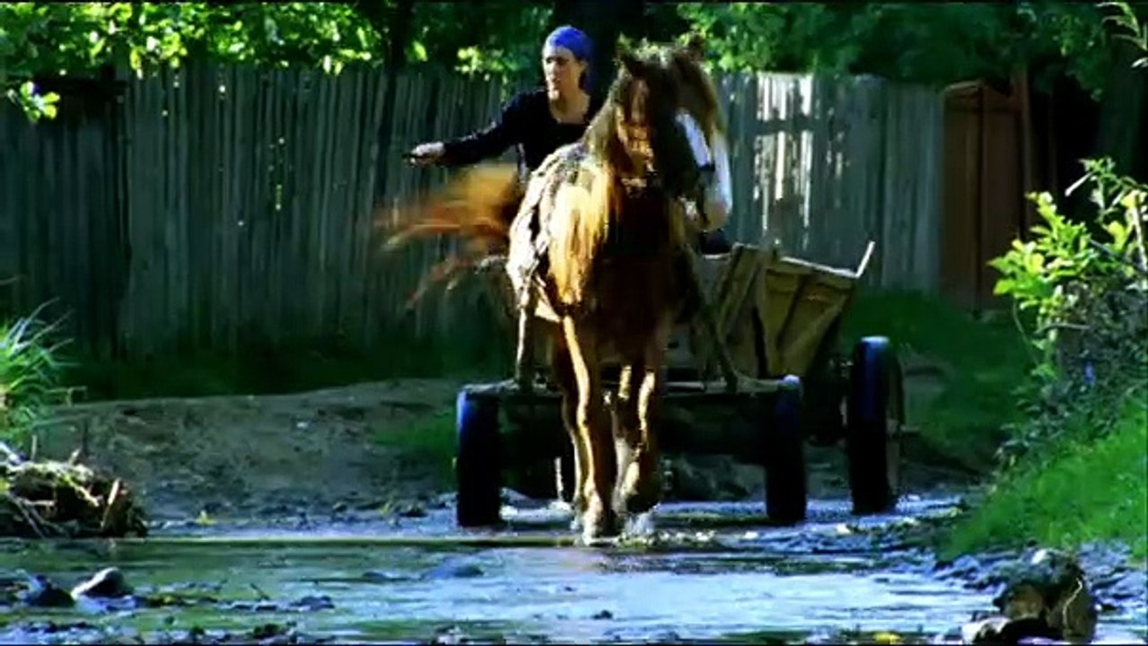 Katalin Varga | movie | 2009 | Official Trailer - video Dailymotion