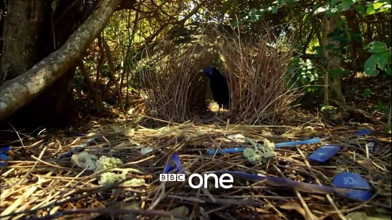 Life Story | movie | 2014 | Official Trailer - video Dailymotion