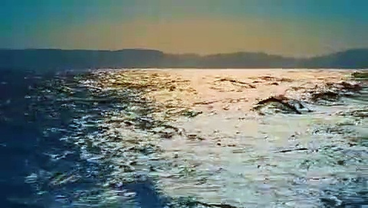 Wild Ocean | movie | 2009 | Official Trailer - video Dailymotion