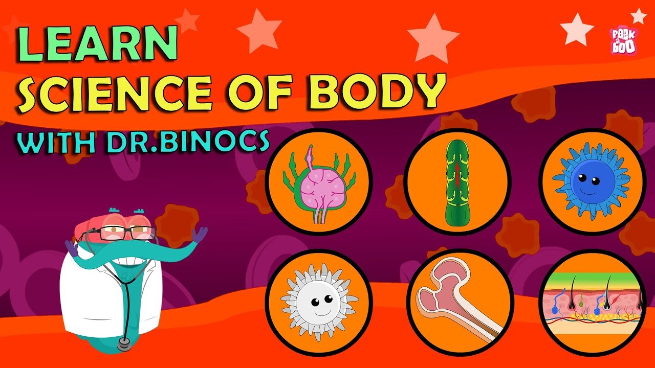 Learn Science with Dr. Binocs | Human Body | The Dr. Binocs Show ...