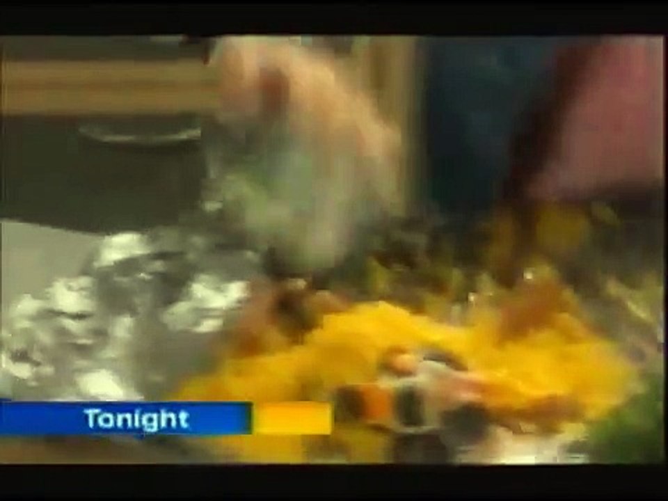 Harry Hill's TV Burp | show | 2002 | Official Trailer - video Dailymotion